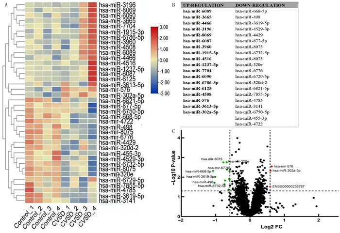 脑小血管病血浆外泌体miRNA差异表达及其意义