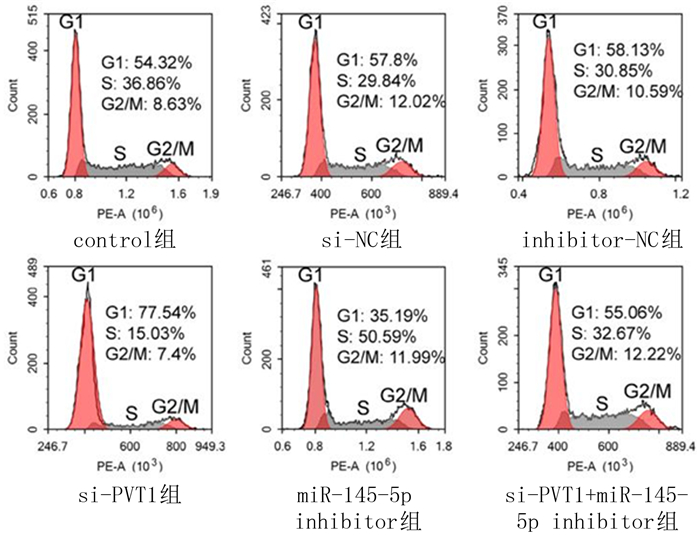 LncRNA PVT1 对弥漫大B细胞淋巴瘤细胞活性的影响及其机制